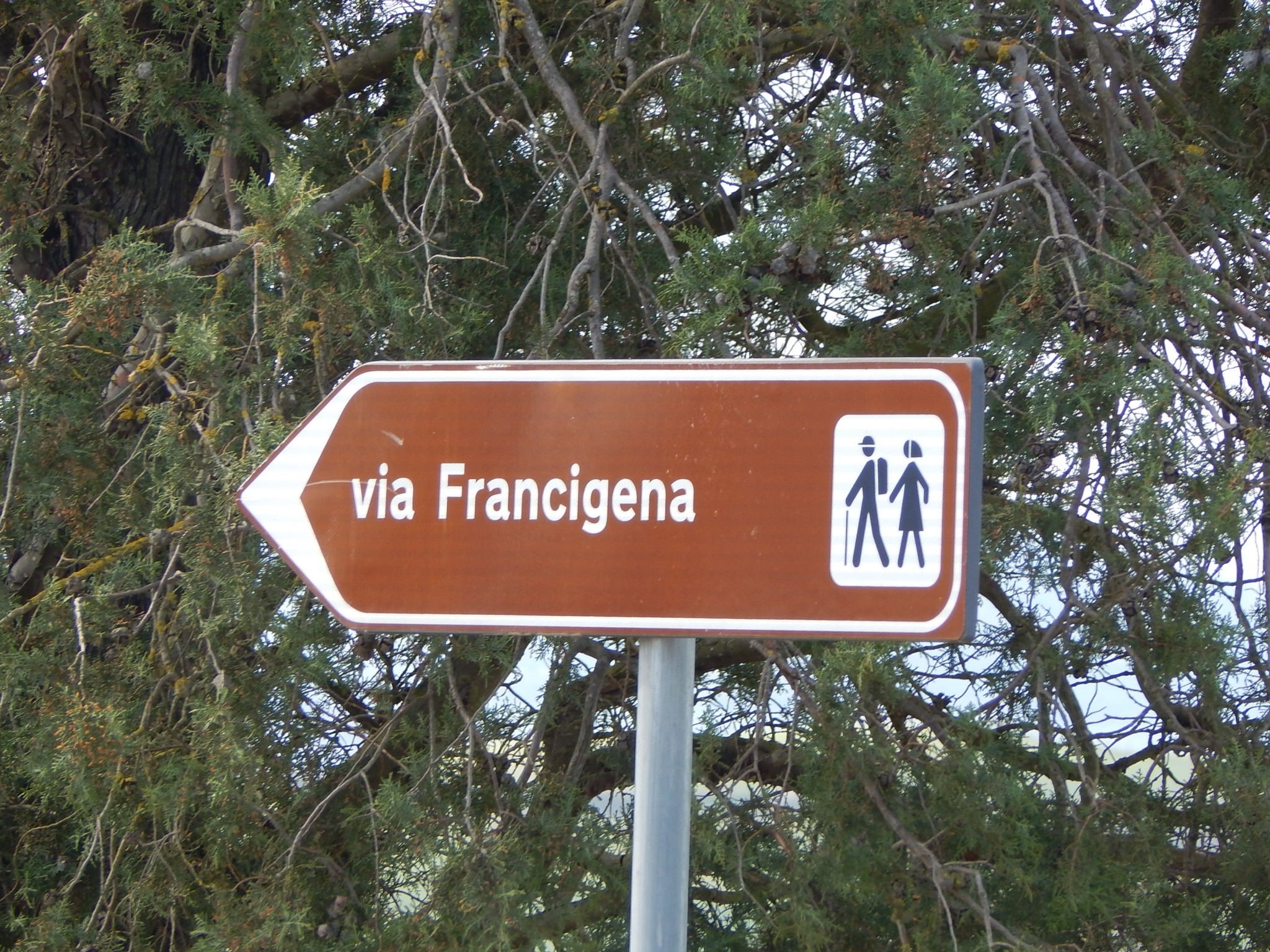 Walking the Via Francigena Pilgrimage Route in Tuscany