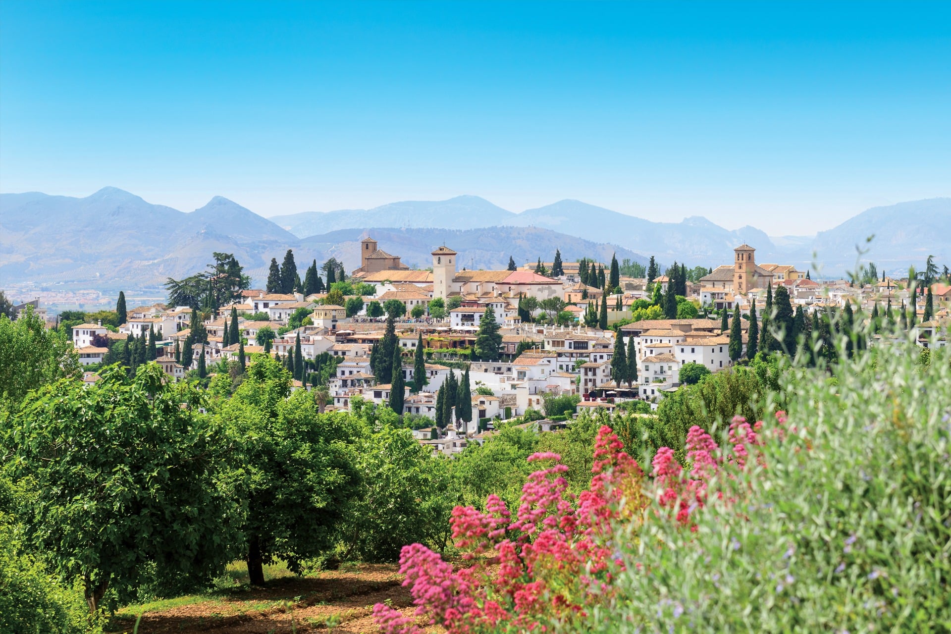 Spanish Cooking Holidays in Andalusia, Spain | Flavours Holidays