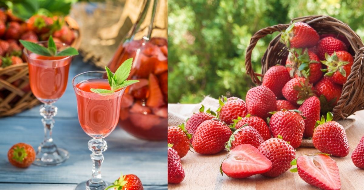 Strawberry Liqueur - Flavours