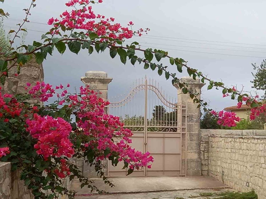 Art of Travel Exhibition - Sicily - Flavours Holidays