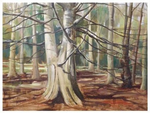 Our Painting Holidays Tutors | Flavours Holidays